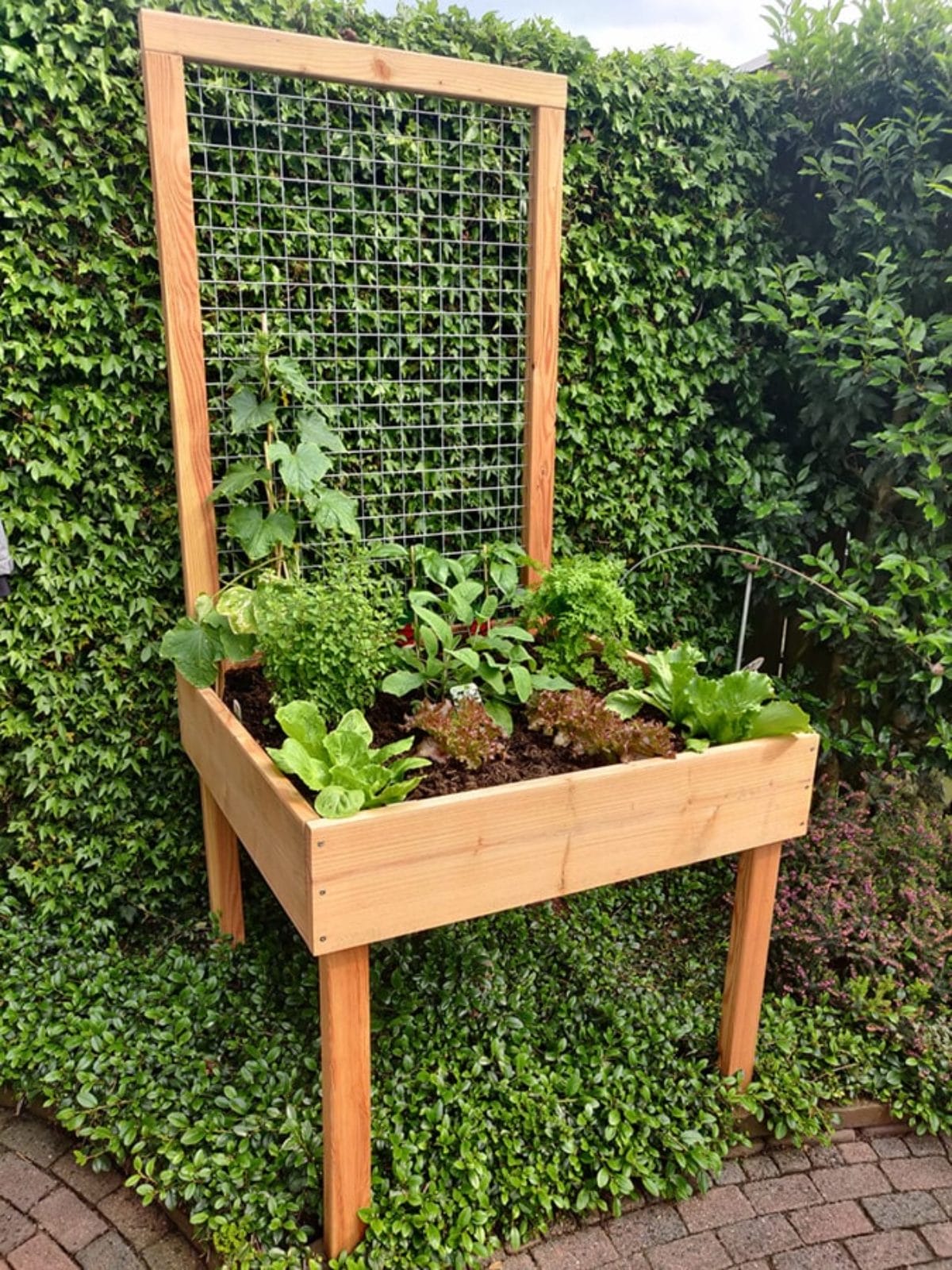 Moestuinbak op poten - Douglas | De Zomereik - Middelaar
